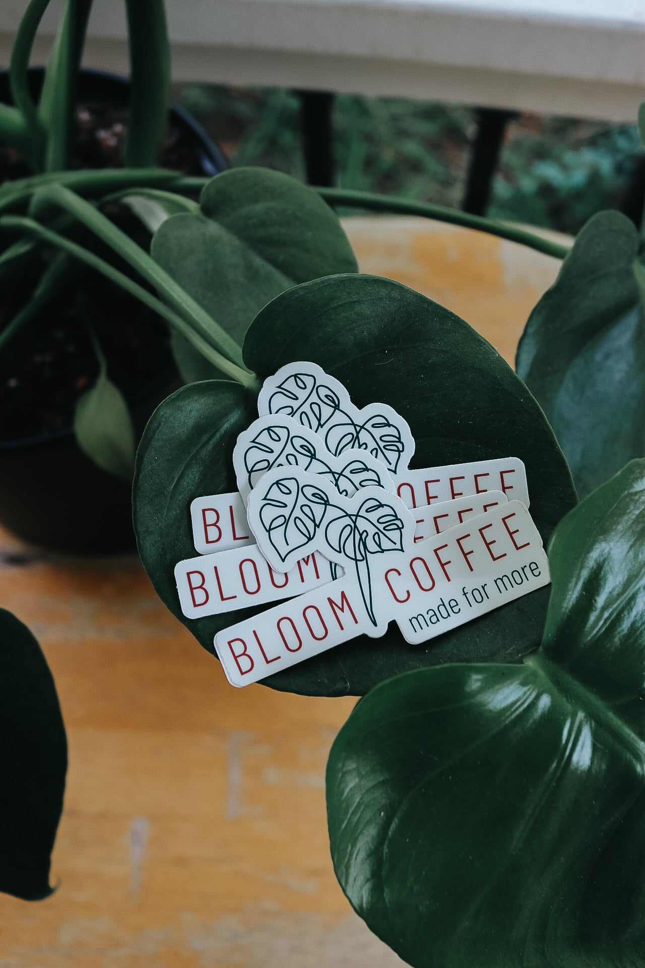 Stickers | Bloom Coffee